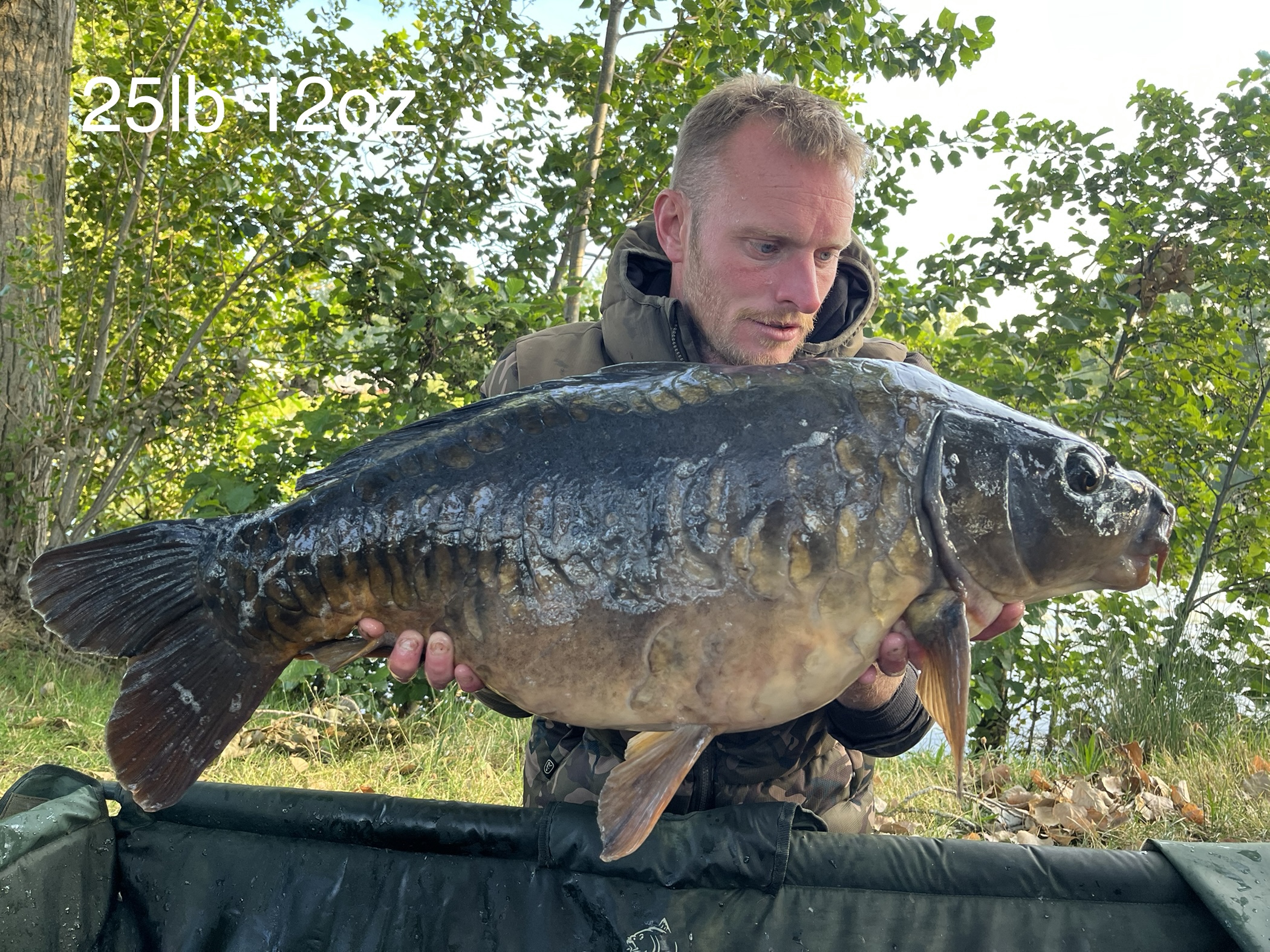 Kingfisher 2 | Total Carp